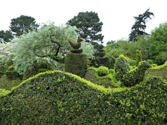 Boxwood Topiaries: 6 Tips for Trimming Shrubs from Niwaki's Jake Hobson ...