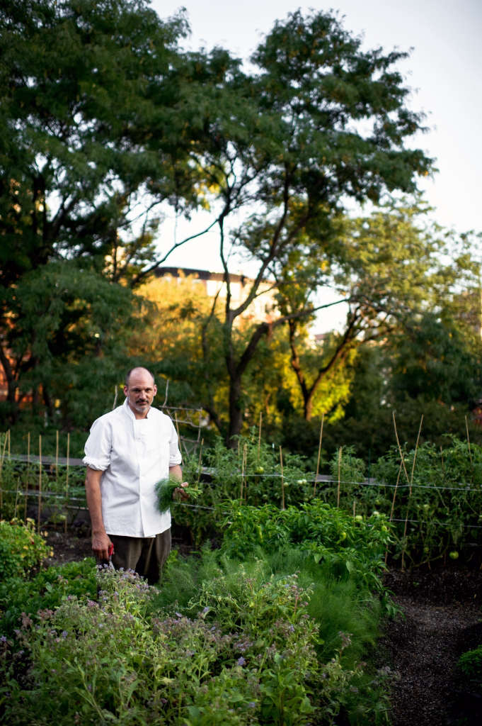 Restaurant Visit: A Secret Roof Garden at Rosemary's in Greenwich ...