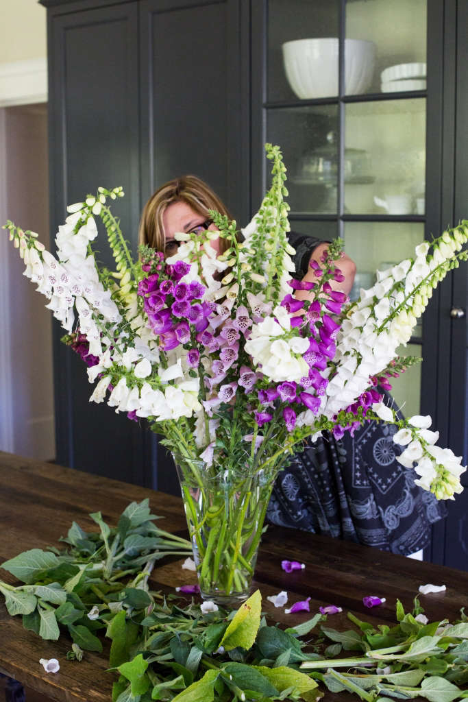 Foxgloves: Rethinking a Fickle Flower - Gardenista