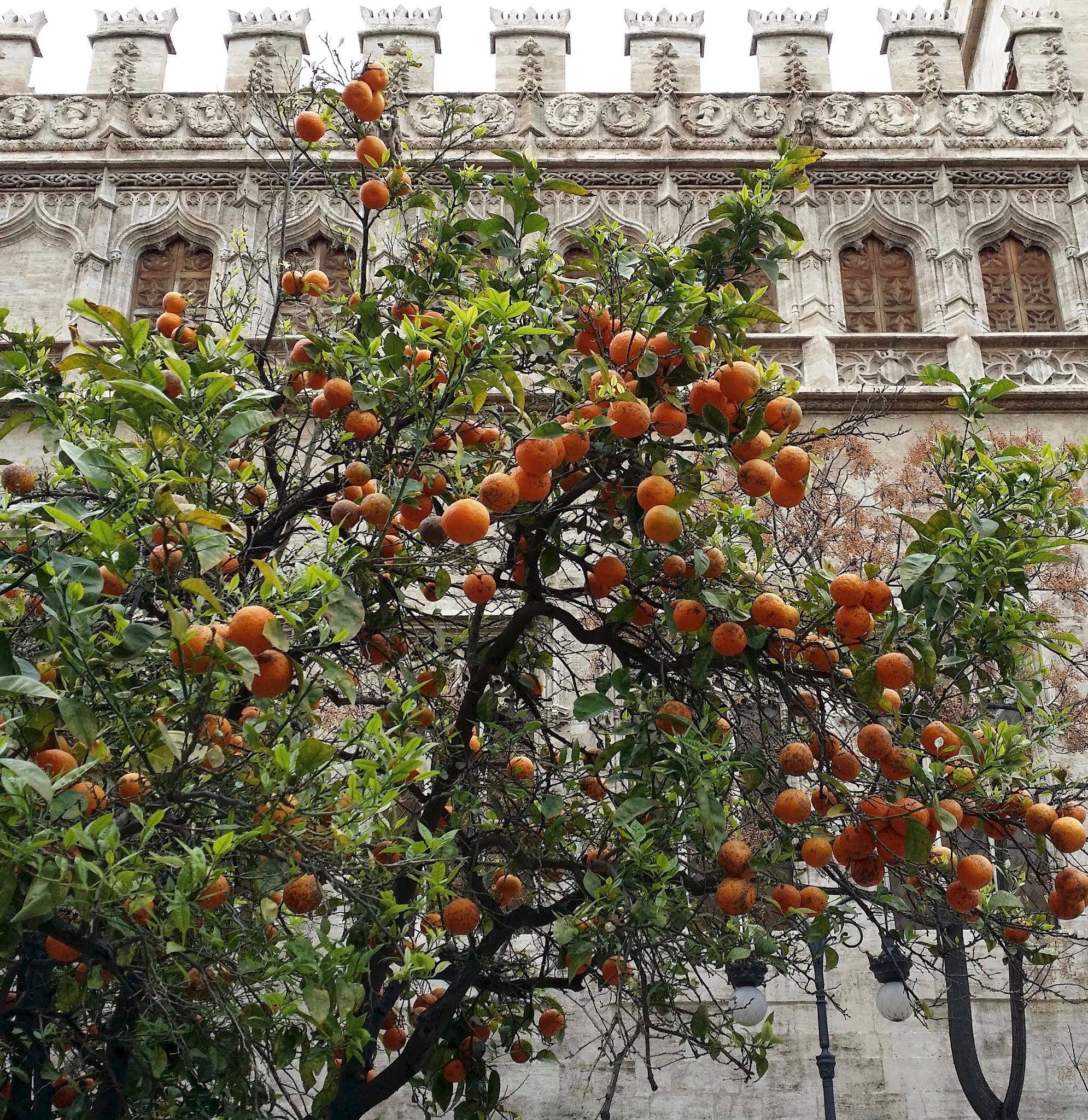 10 Garden Ideas to Steal from Spain - Gardenista