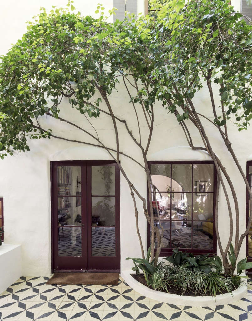 Fire-Safe Garden: How to Protect Your Property from Wildfires