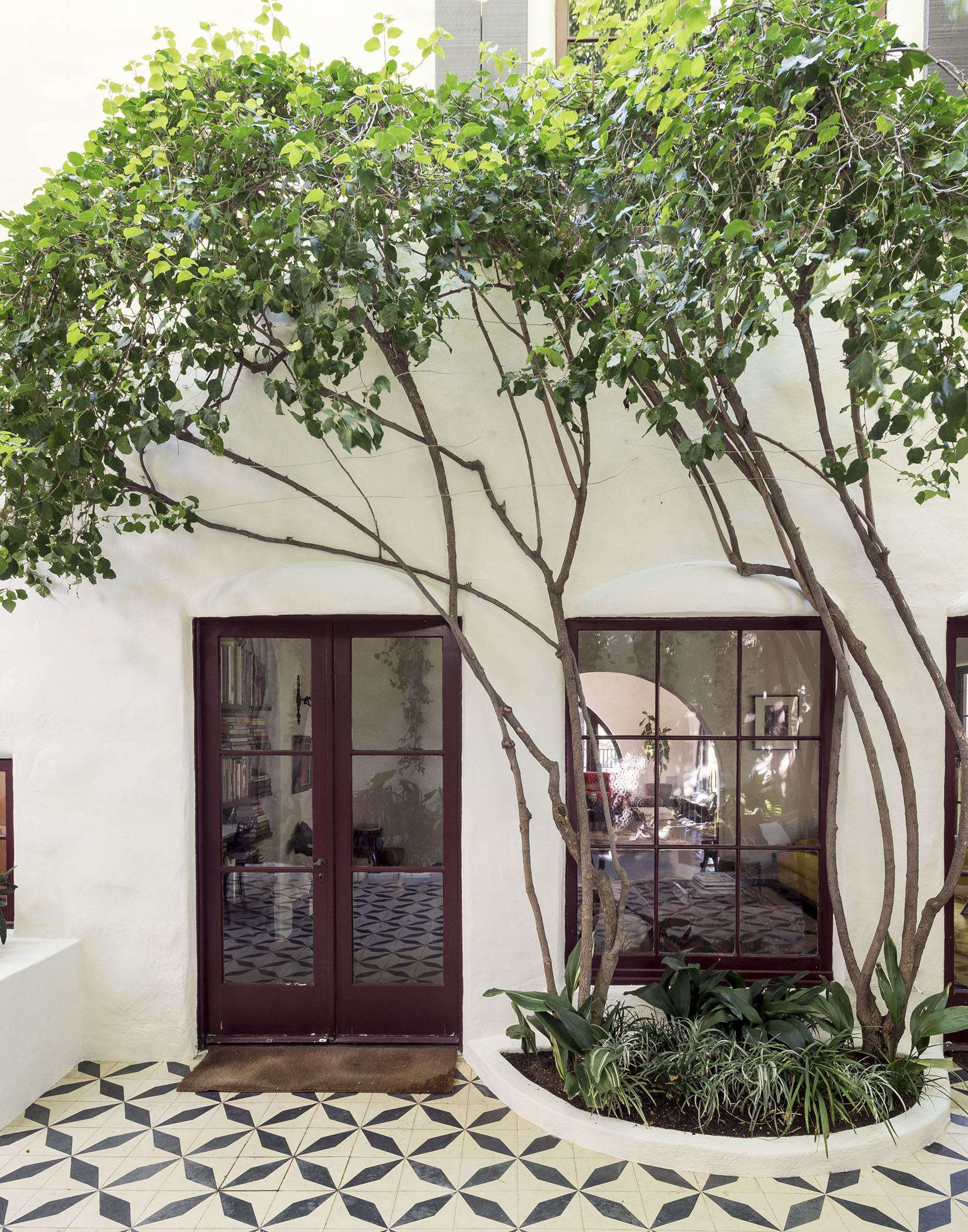 Fire-Safe Garden: How to Protect Your Property from Wildfires