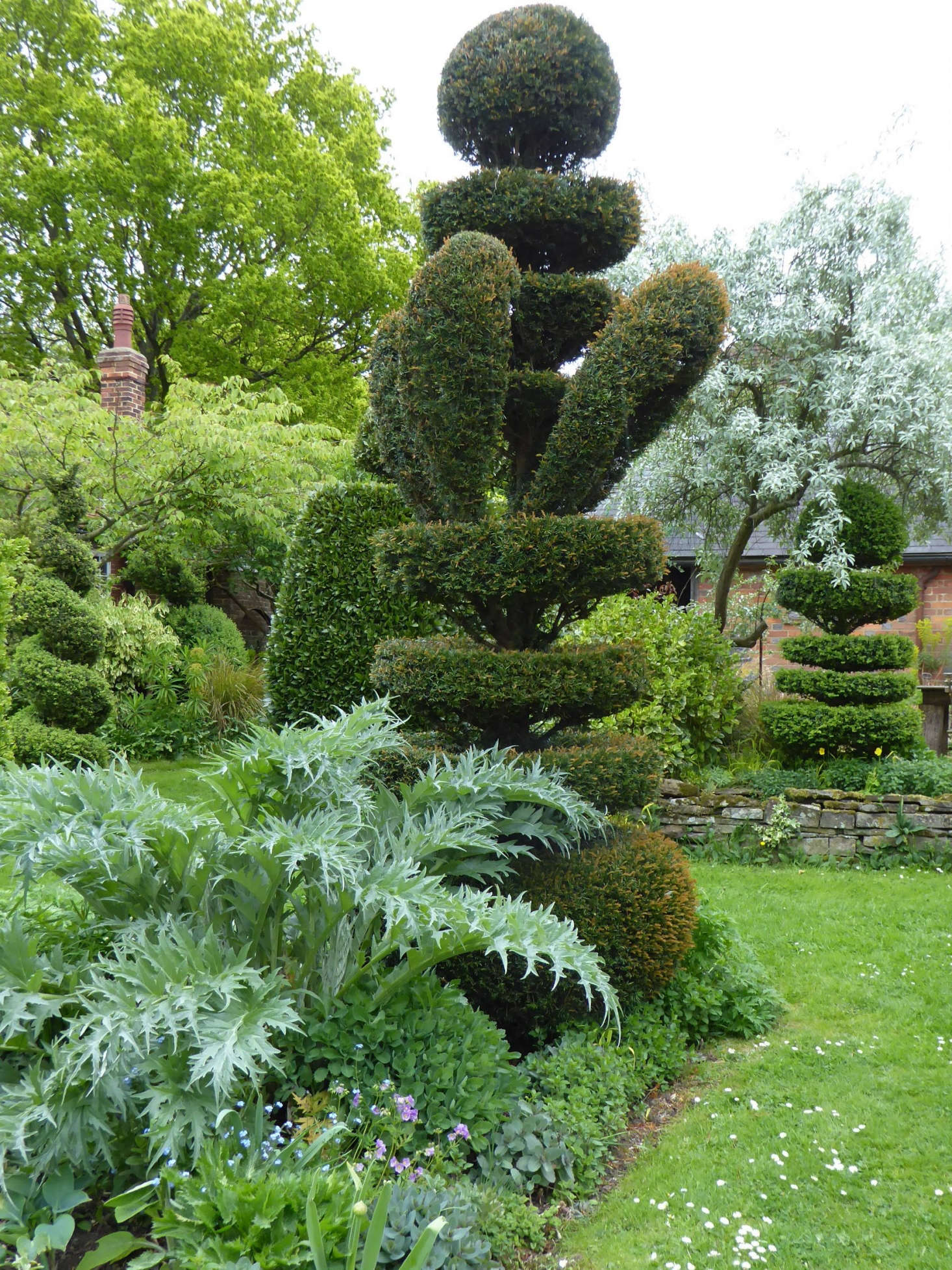 Garden Visit: Charlotte Molesworth's Topiaries at Balmoral Cottage