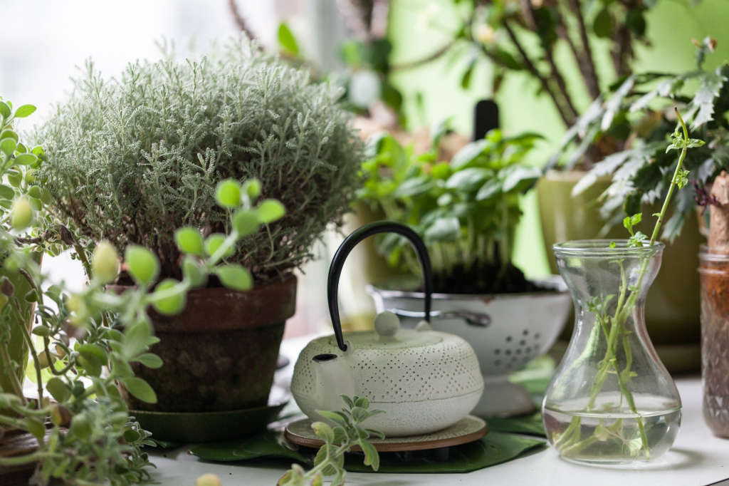 10 Things Nobody Tells You About Fire Escape Gardens - Gardenista