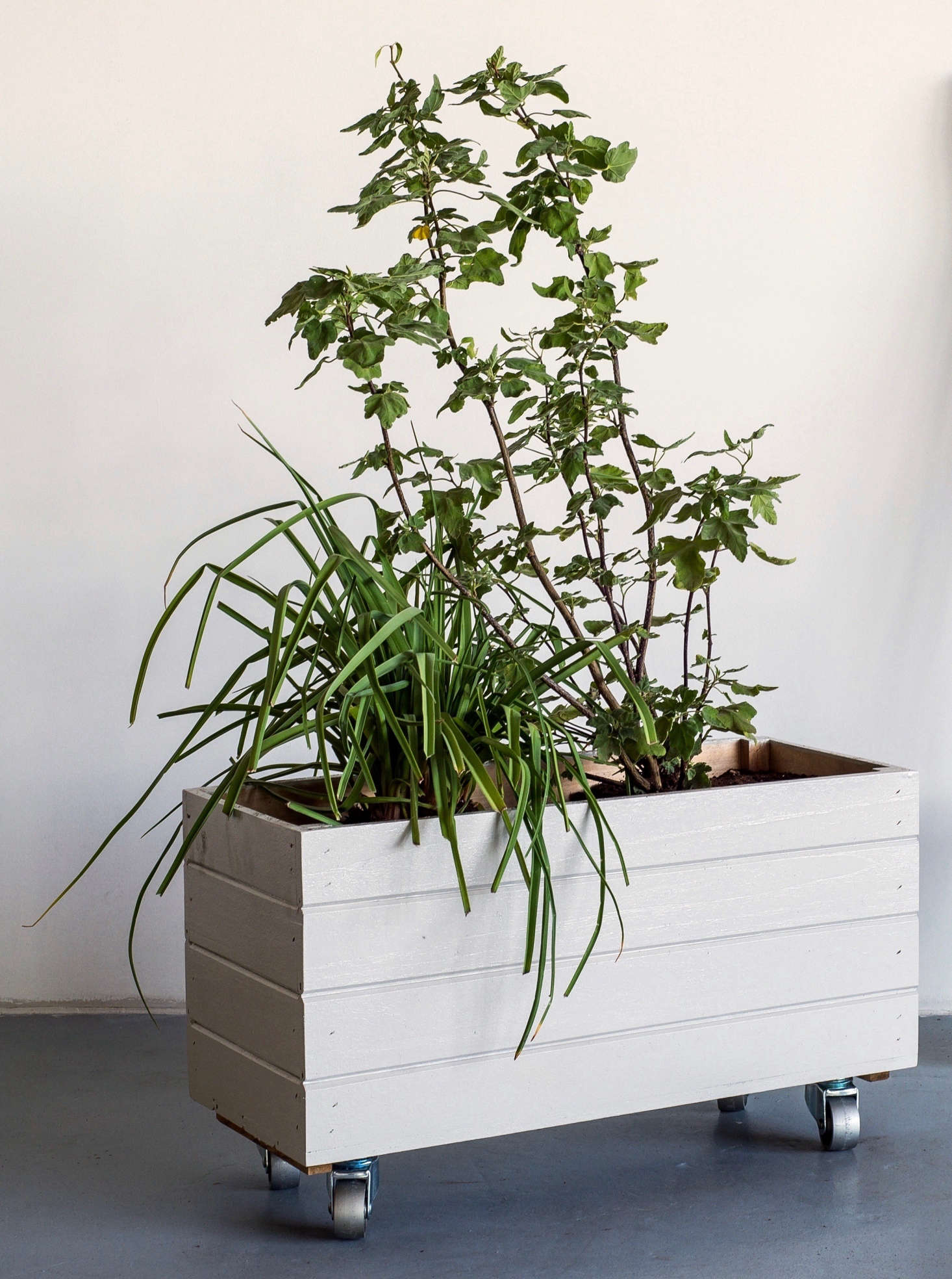 Container Gardening: A DIY Planter on Wheels - Gardenista