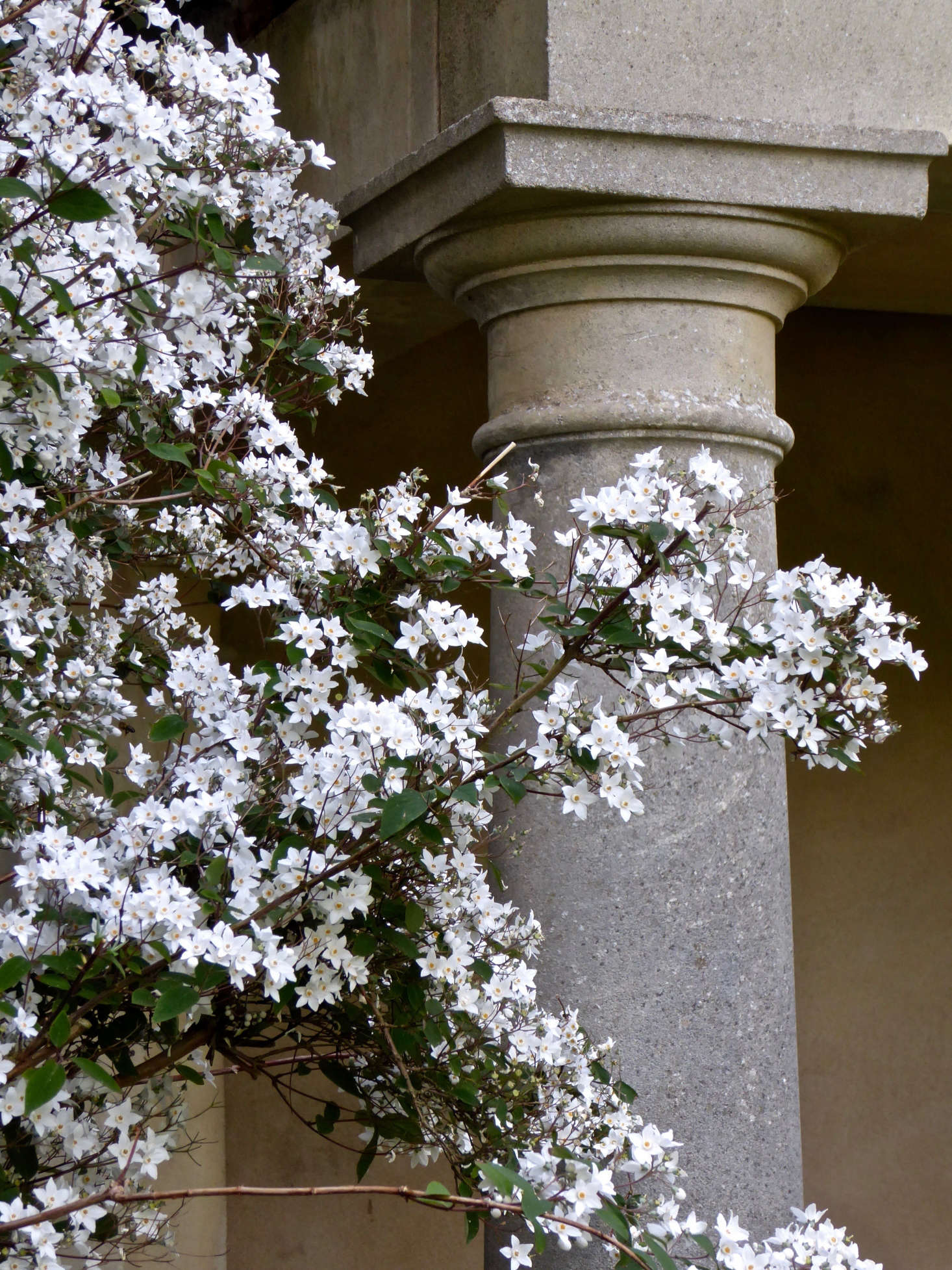 10 Ideas to Steal from the Romantic Gardens at Kiftsgate Court - Gardenista