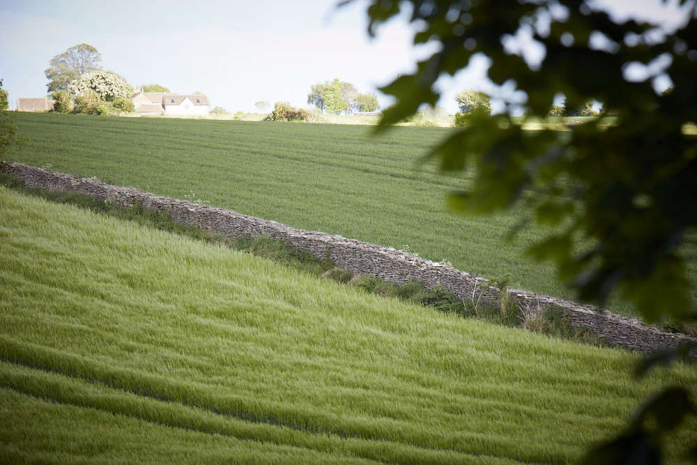 Hardscaping 101: Dry Stone Walls - Gardenista