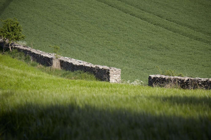 Hardscaping 101: Dry Stone Walls - Gardenista