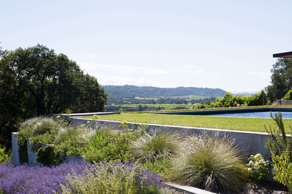 Swimming Pools: 11 Best Landscape Plants for Water's Edge - Gardenista