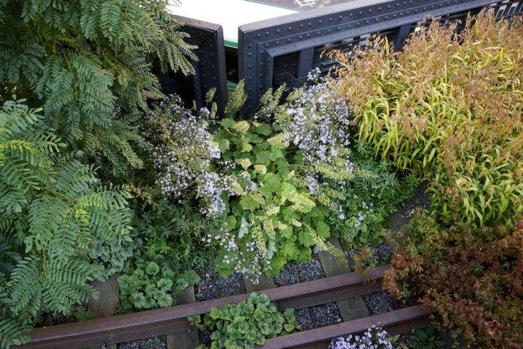 High Line NYC: The Inside Story by Landscape Designer Piet Oudolf ...