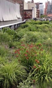 High Line NYC: The Inside Story by Landscape Designer Piet Oudolf ...