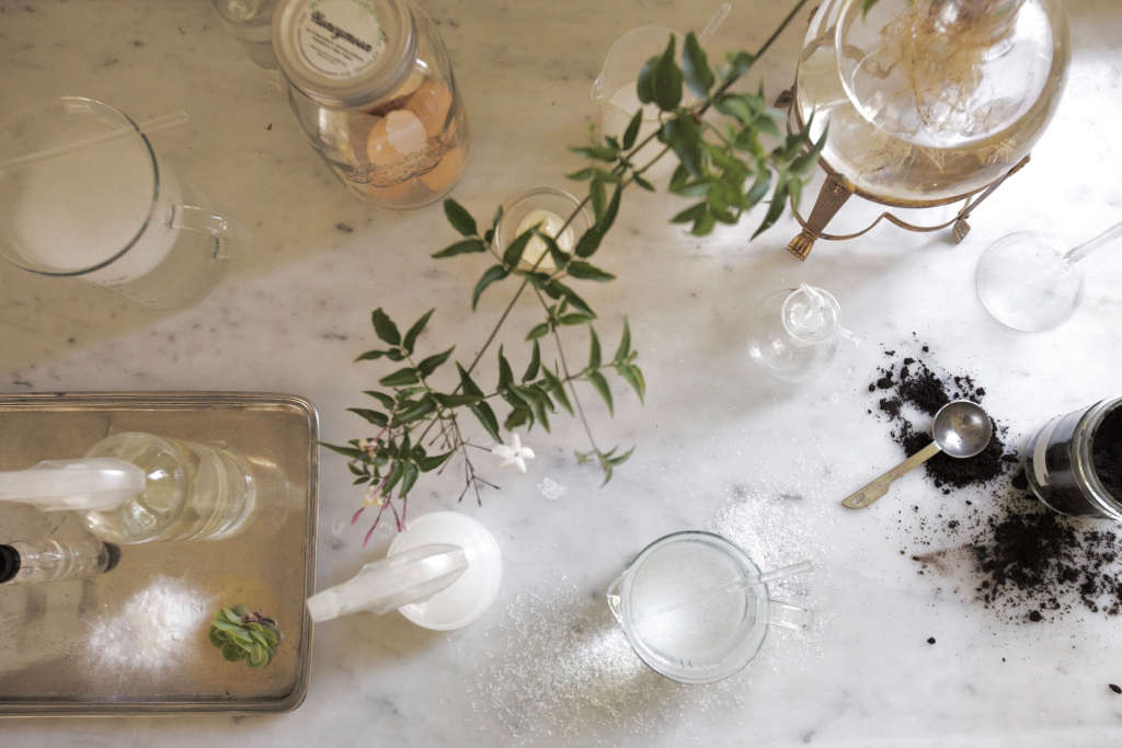 Homemade Garden Remedies: 5 Natural Solutions for Healthier Soil and ...