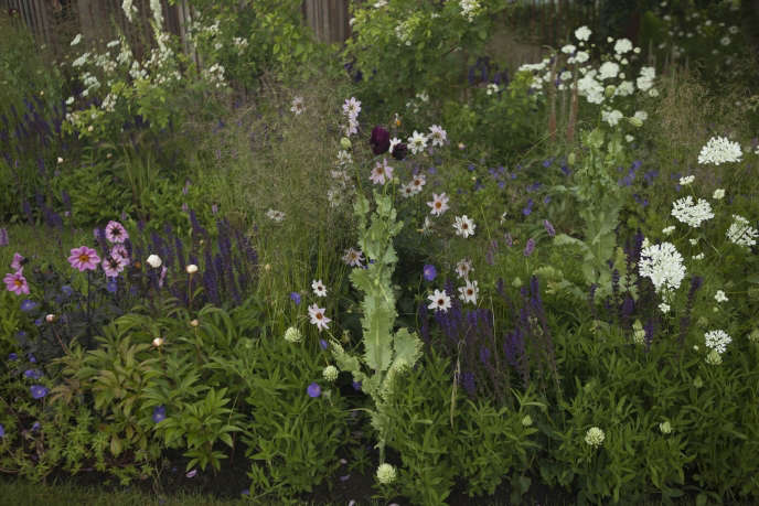 Nature-Based Gardening: 12 Tips from Perfect Earth Project