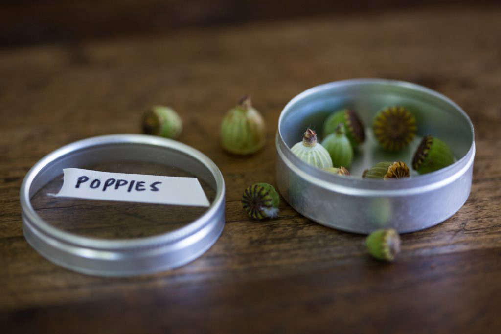 Seed Savers: Essentials for a DIY Kit - Gardenista