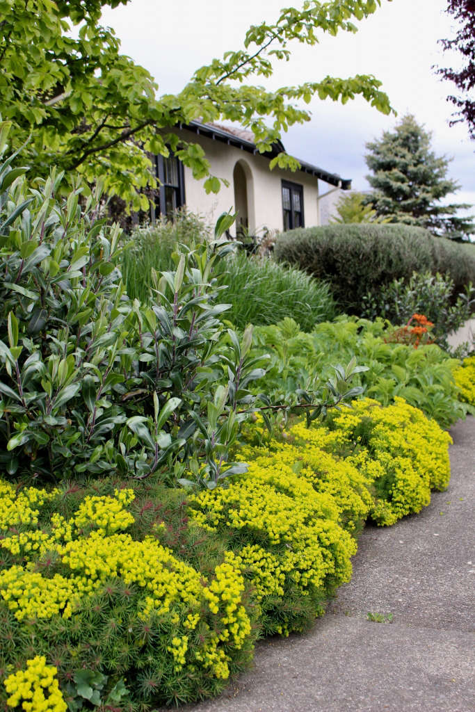 Curb Appeal: Year-Round Greenery in a Cold Climate - Gardenista