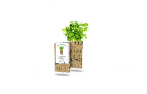 10 Easy Pieces: Container Garden Kits - Gardenista