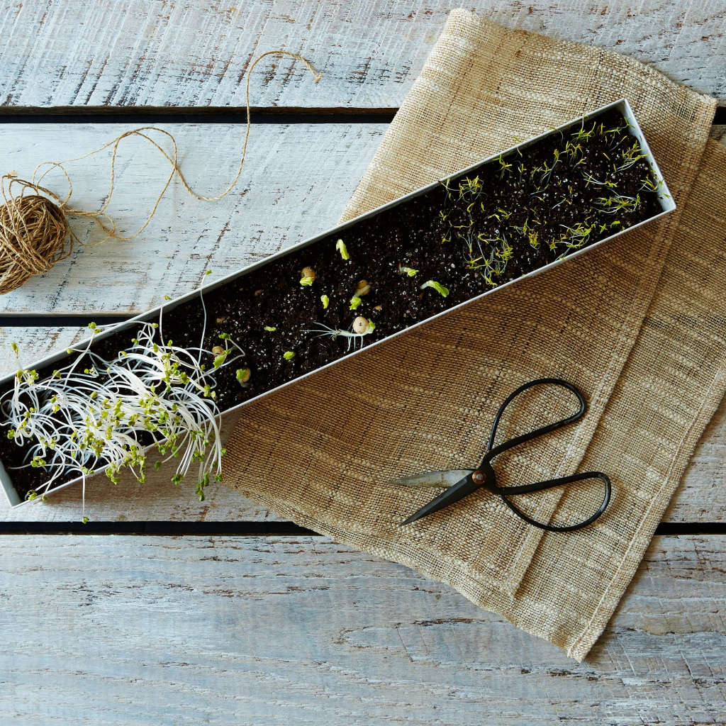 10 Easy Pieces: Container Garden Kits - Gardenista