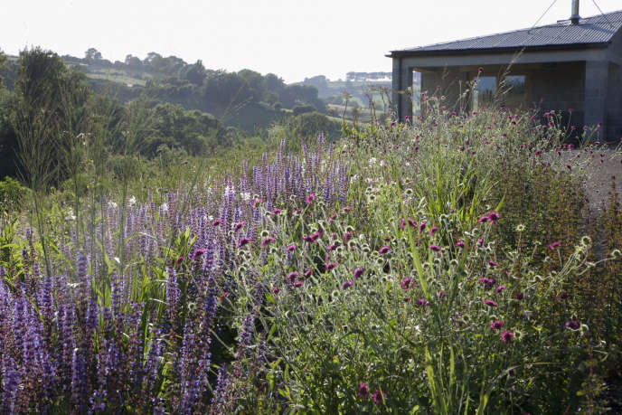 Natural Selection: A Year in the Garden by Dan Pearson - Gardenista