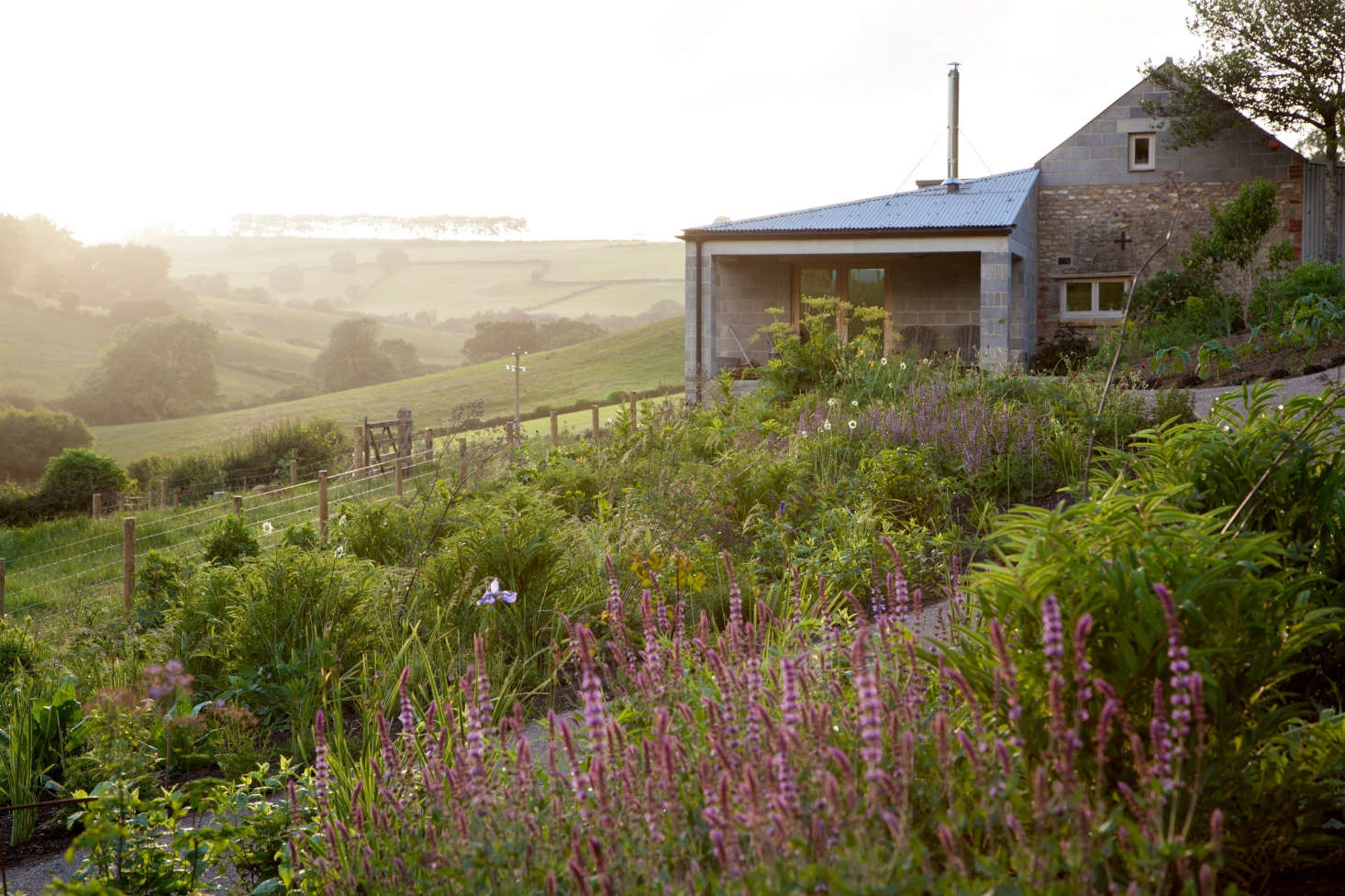 Natural Selection: A Year in the Garden by Dan Pearson - Gardenista