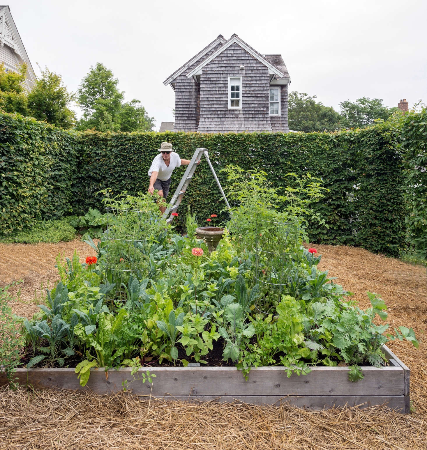 Everything You Need to Know About Edible Gardens - Gardenista