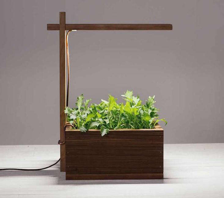 Object of Desire: Light Box from Opus Grows - Gardenista