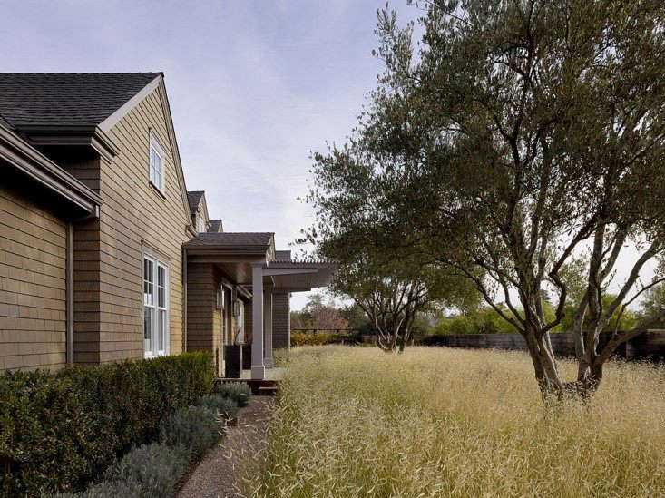 10 Ideas to Steal from Prairie-Style Gardens - Gardenista