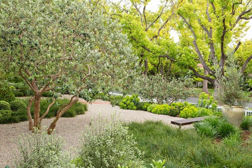 Vote for the Best Professional Landscape in Our Design Awards - Gardenista