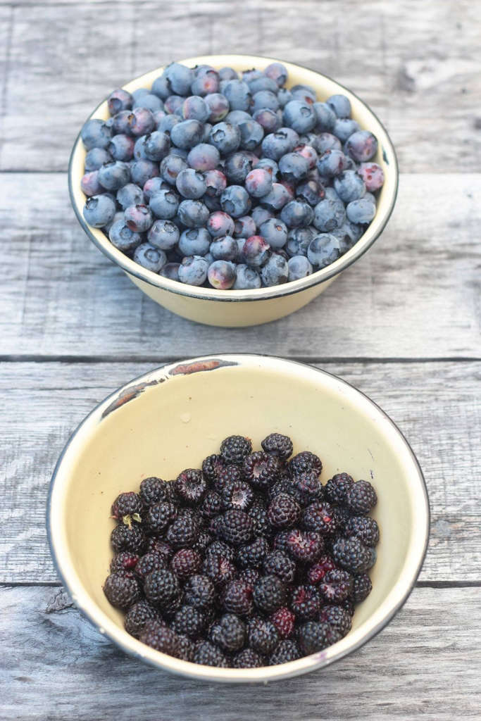 Edible Gardens: Black Raspberries, America's Lost Fruit - Gardenista