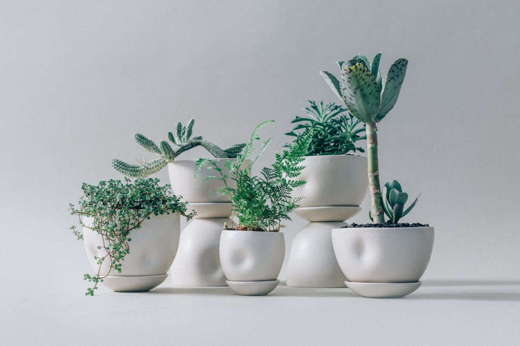 Object of Desire: Hips Planters - Gardenista