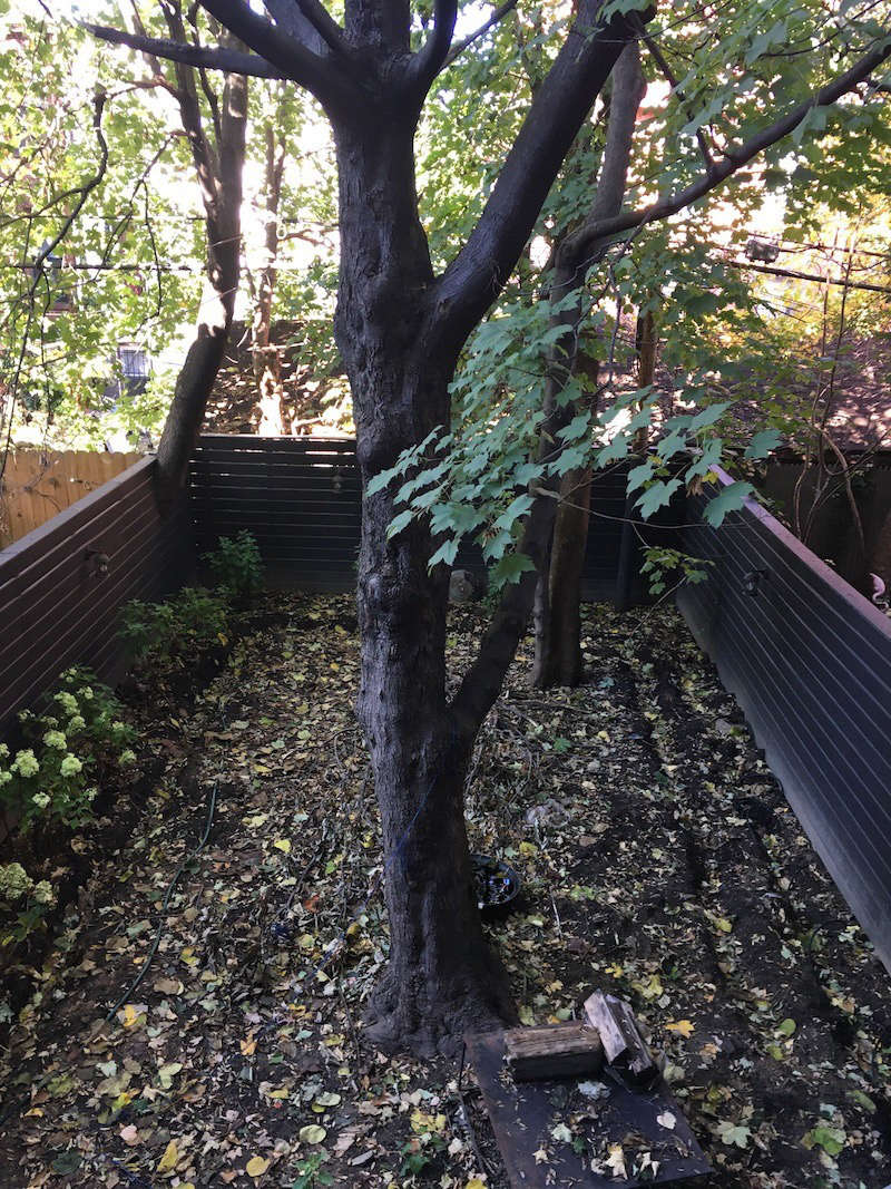 Best Outdoor Living Space 2017: A Brooklyn Backyard in Black by Edible ...