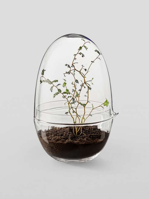 Object of Desire: Glass Egg Terrarium from Design House Stockholm ...