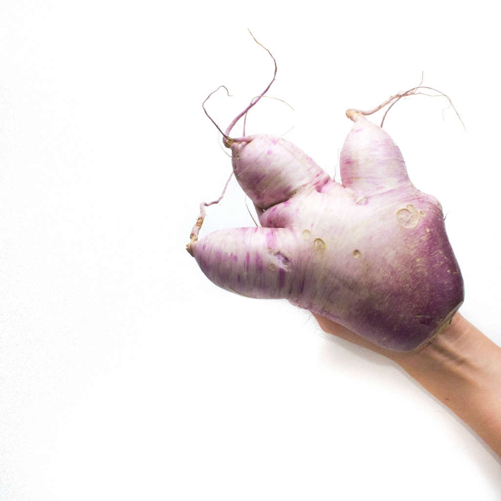 Imperfect Produce: A Rescue Mission to Combat Food Waste - Gardenista