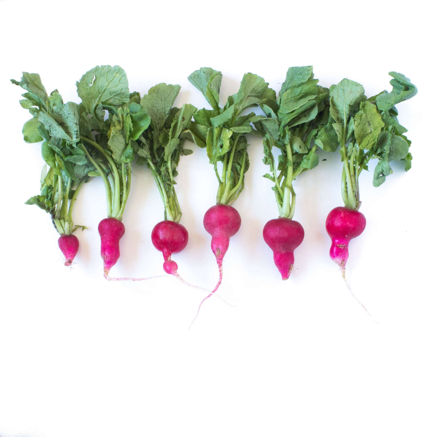 Imperfect Produce: A Rescue Mission to Combat Food Waste - Gardenista