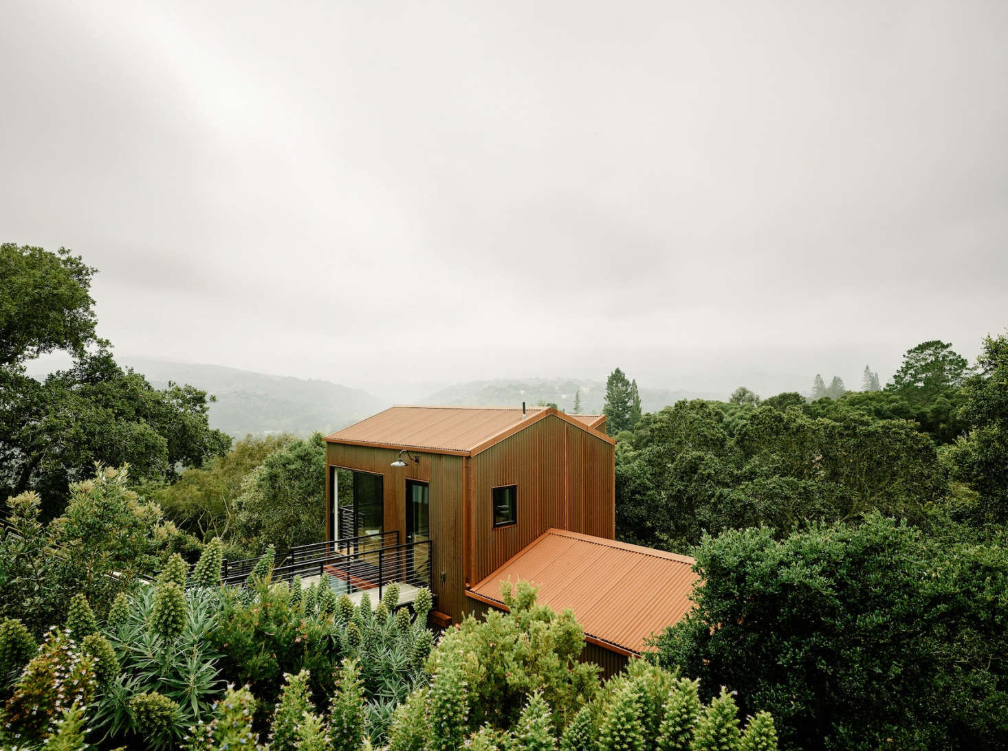 Valley Views: A Landscape Among the Treetops in Portola Valley, CA ...