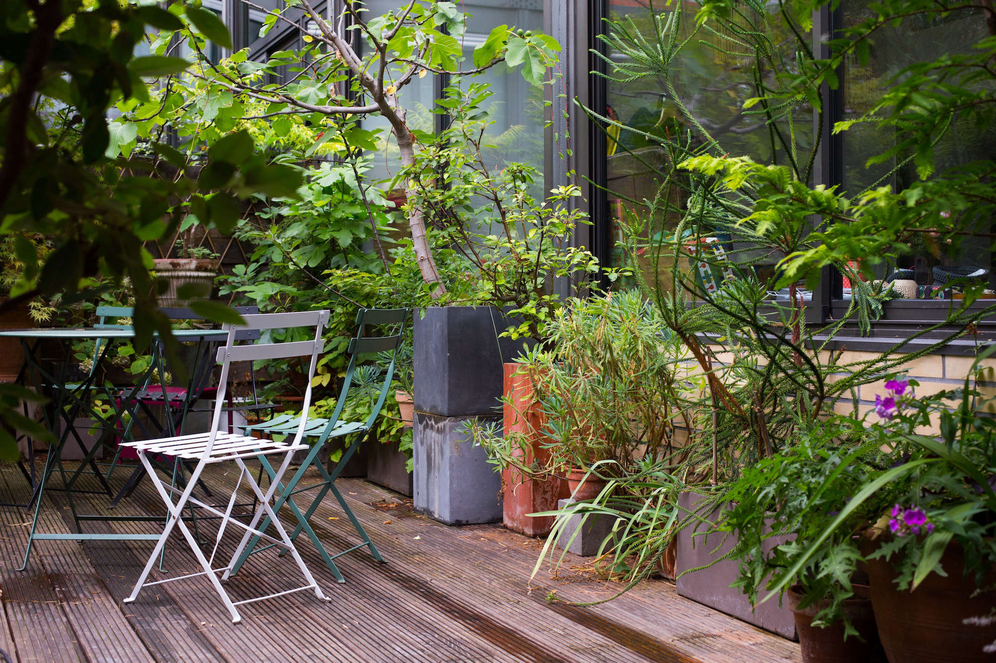 How to Garden Like a Frenchman: 10 Ideas to Steal from a Parisian ...
