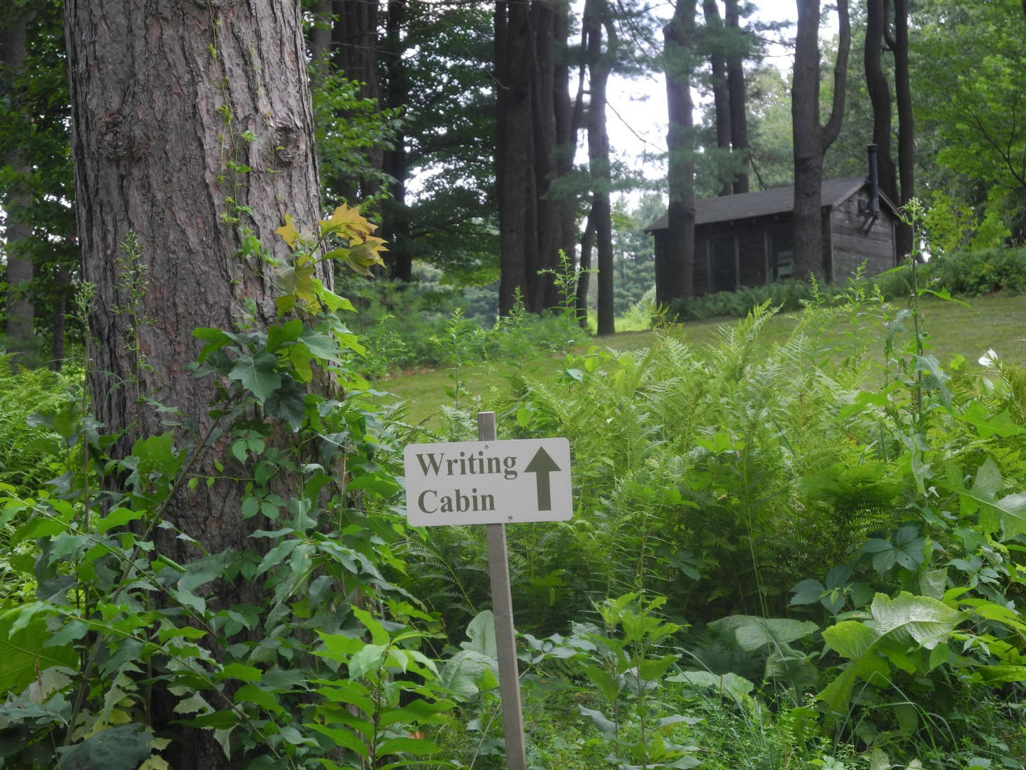 A Poet's Garden: Edna St. Vincent Millay at Steepletop - Gardenista