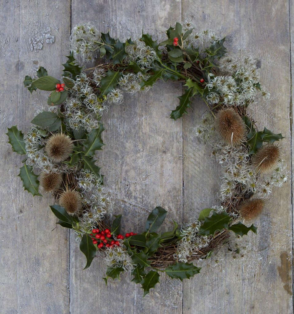 Gardening 101: Teasel - Gardenista