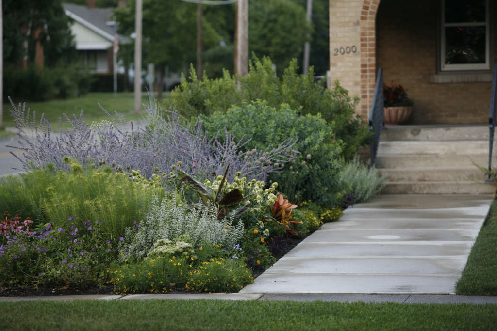 10 Ideas to Steal from Prairie-Style Gardens - Gardenista