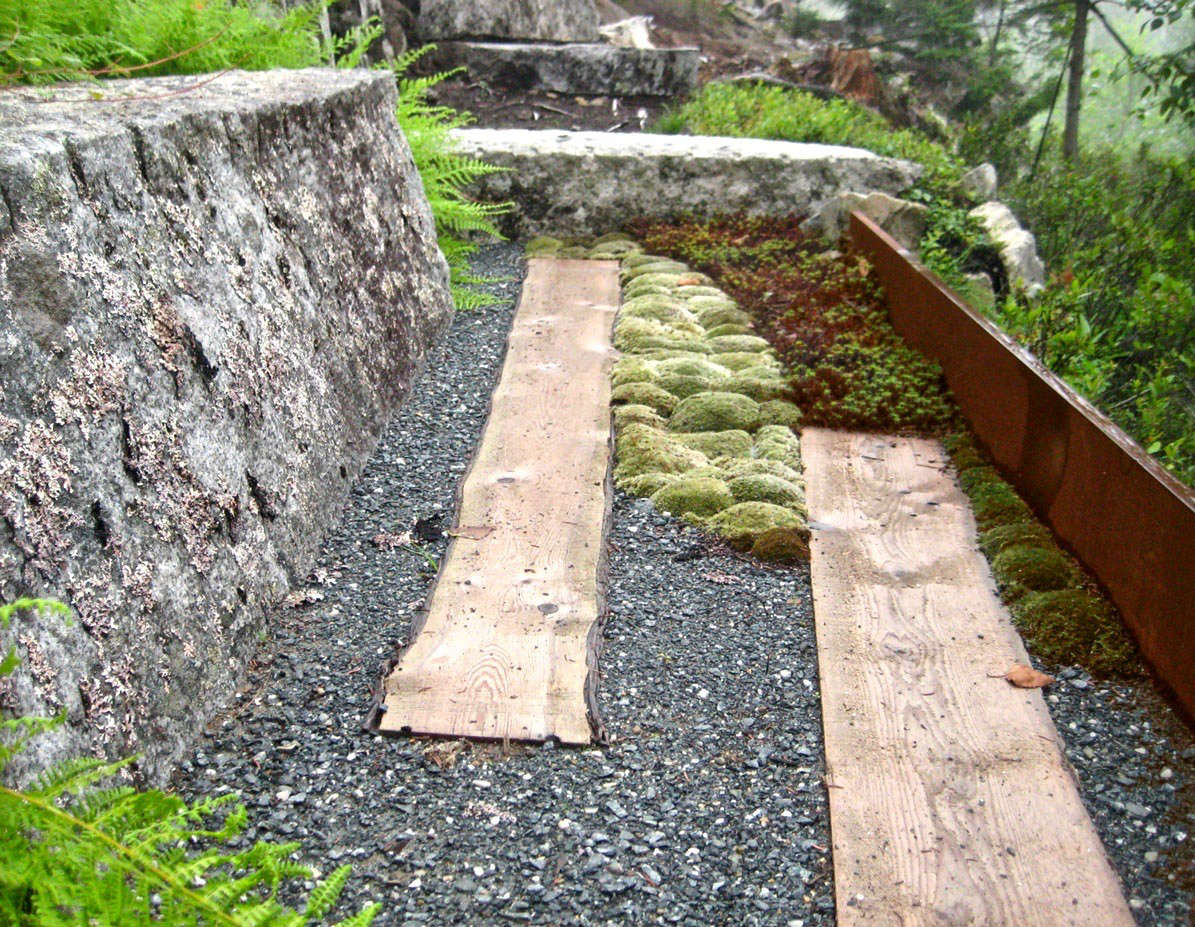 Lessons from the Land: Finding a Lost Landscape on the Coast of Maine ...