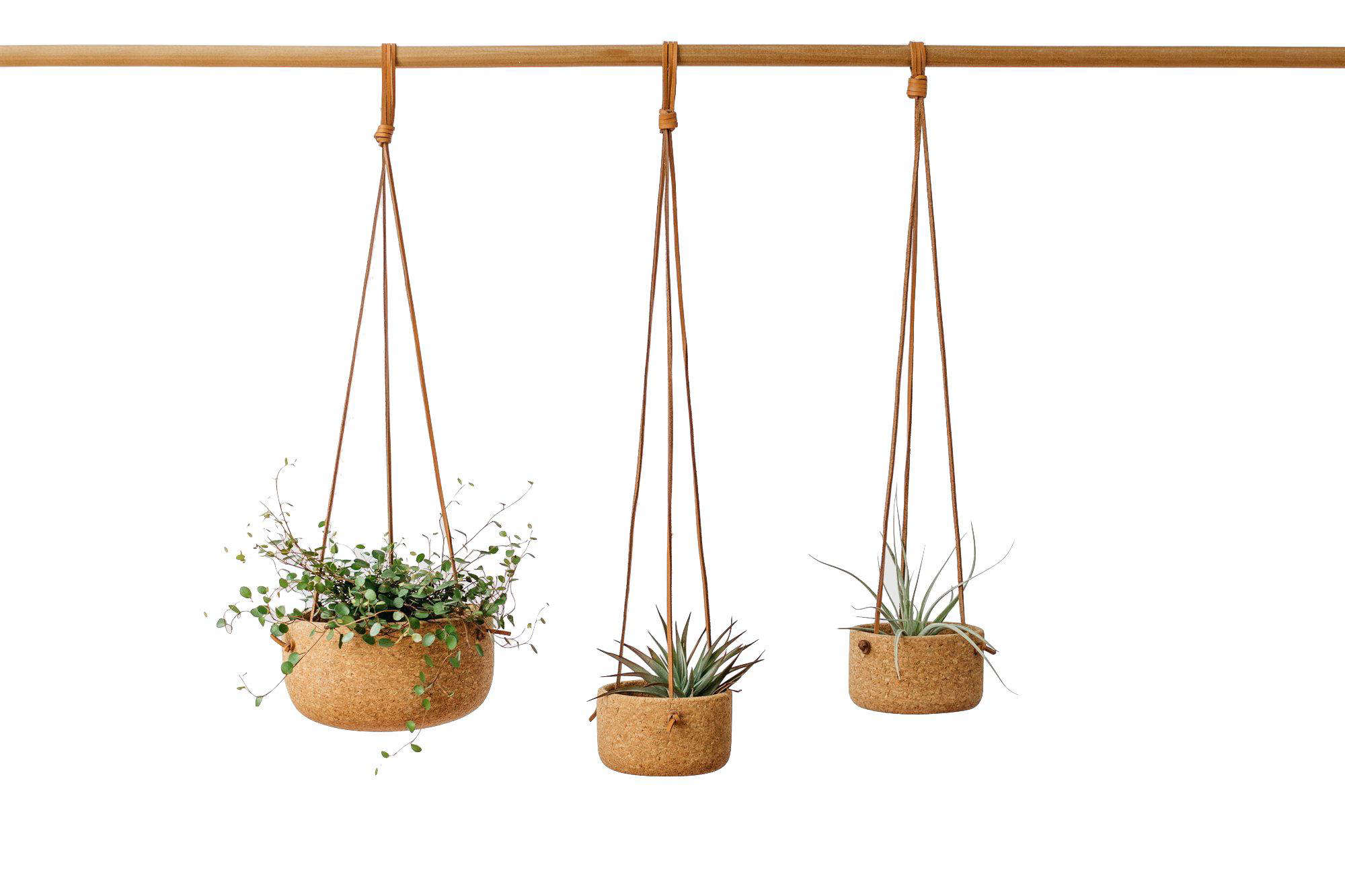 The New Neutrals: 10 Hanging Planters That Look Good in Any Room ...