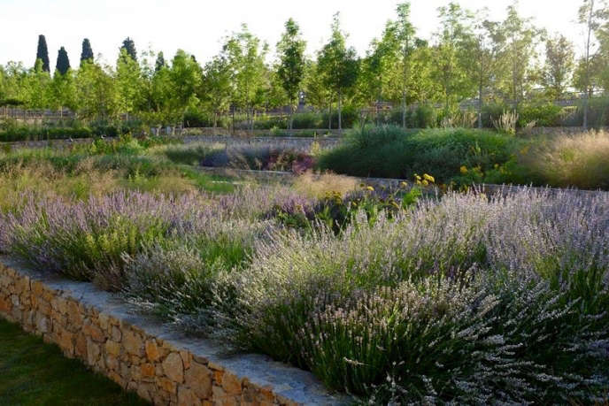 10 Garden Ideas to Steal from Provence - Gardenista