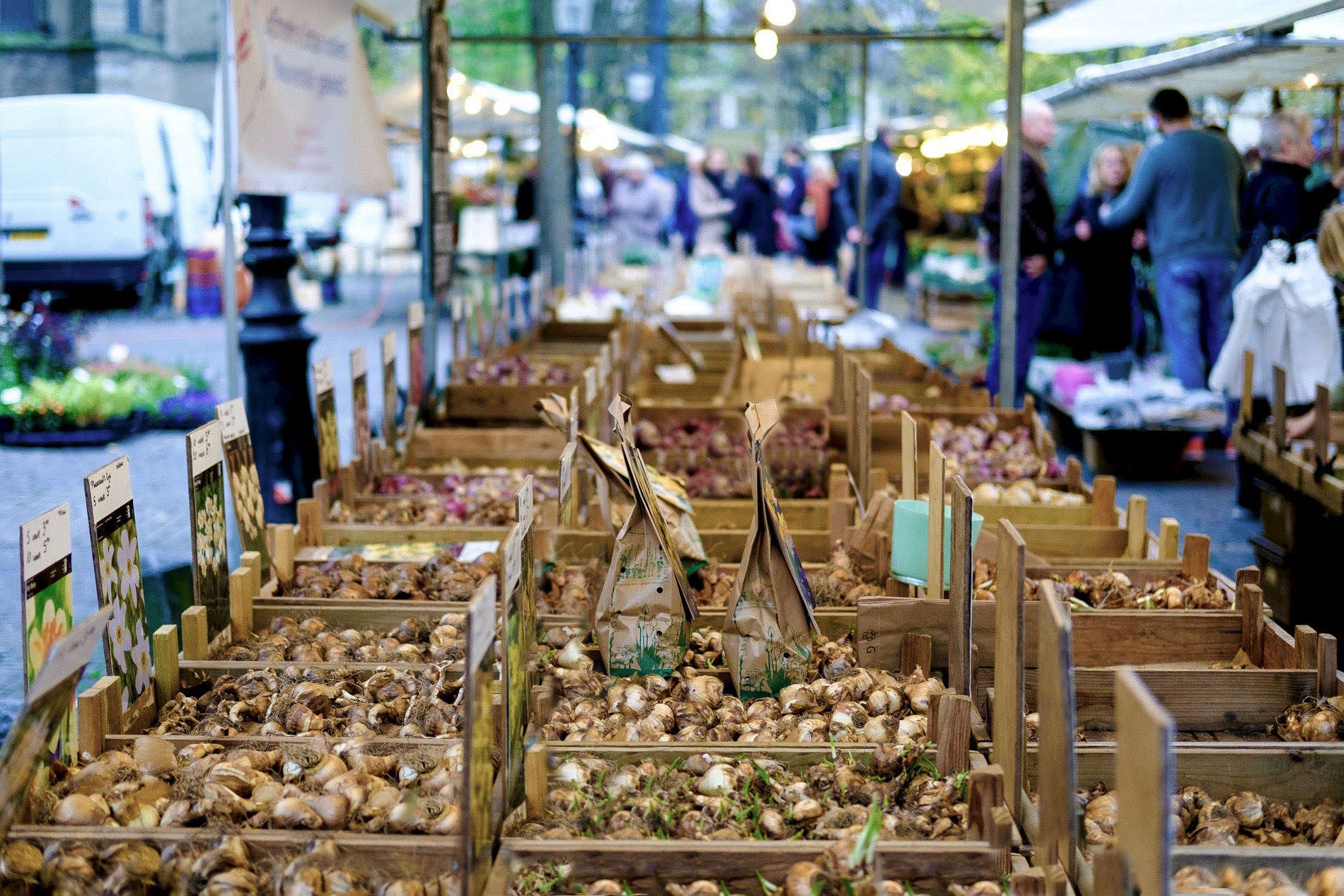 Shopper's Diary: The Utrecht Flower Market - Gardenista
