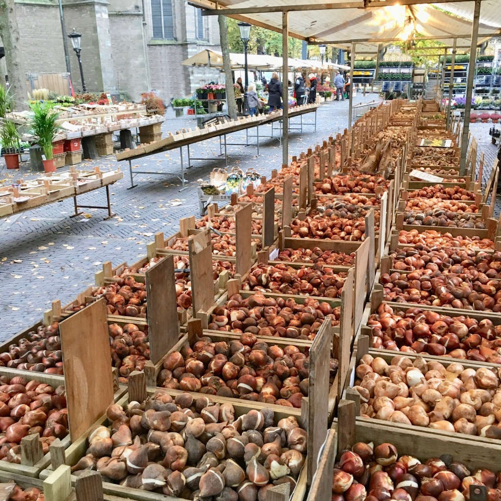 Shopper's Diary: The Utrecht Flower Market - Gardenista