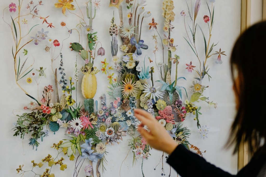 Studio Visit: Botanical Artist Anne ten Donkelaar - Gardenista