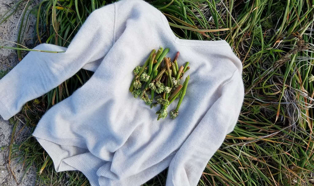 Calling All Foragers: Wildcrafting Holidays in South Africa, from Low ...