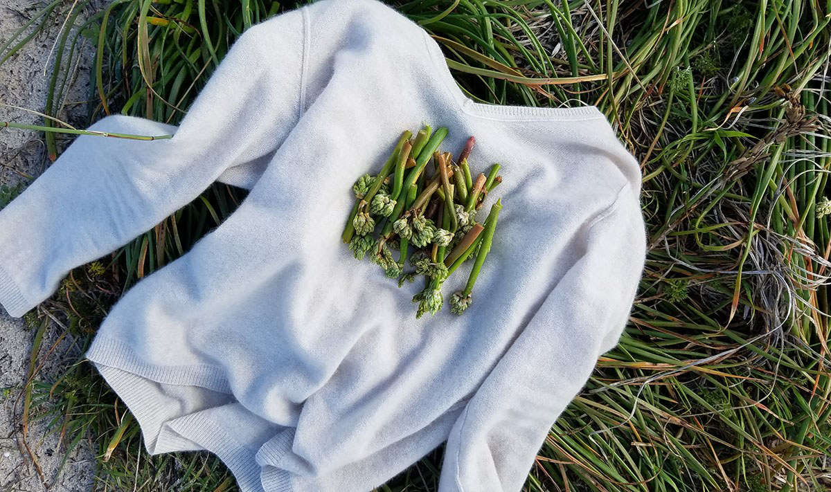 Calling All Foragers: Wildcrafting Holidays in South Africa, from Low ...