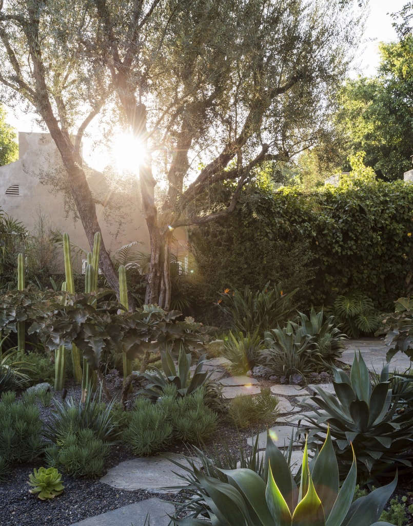 Fire-Safe Garden: How to Protect Your Property from Wildfires