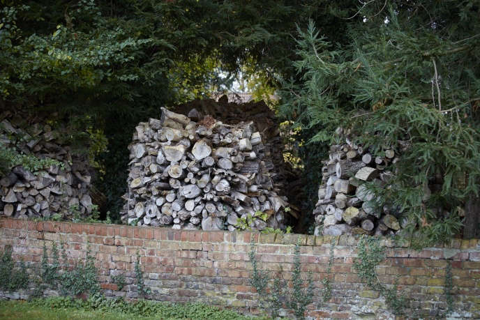 Log Pile Habitats: Beloved by Nigel Dunnett and Other Garden Designers