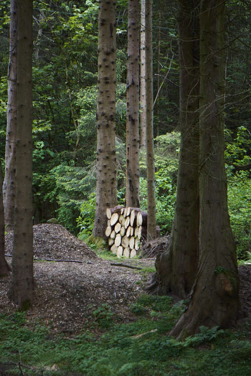 The Well-Kept Woodpile: 10 Tips to Stack and Care for Firewood Outdoors ...