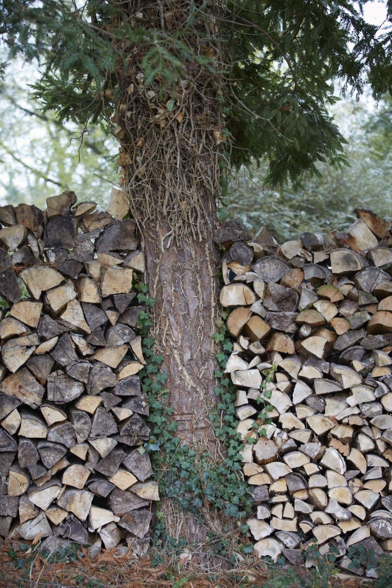 The Well-Kept Woodpile: 10 Tips to Stack and Care for Firewood Outdoors ...